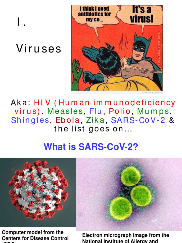 Lytic vs. Lysogenic Virus Cycles | PDF | Virus | Microbiology