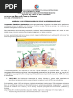 Monografia Lipotron Cápsulas | PDF | Metabolismo | Lípido