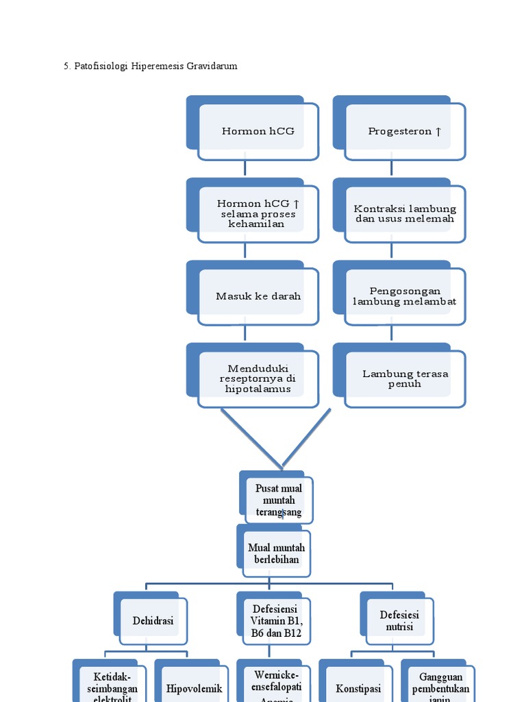 Patof Hiperemesis Gravidarum | PDF