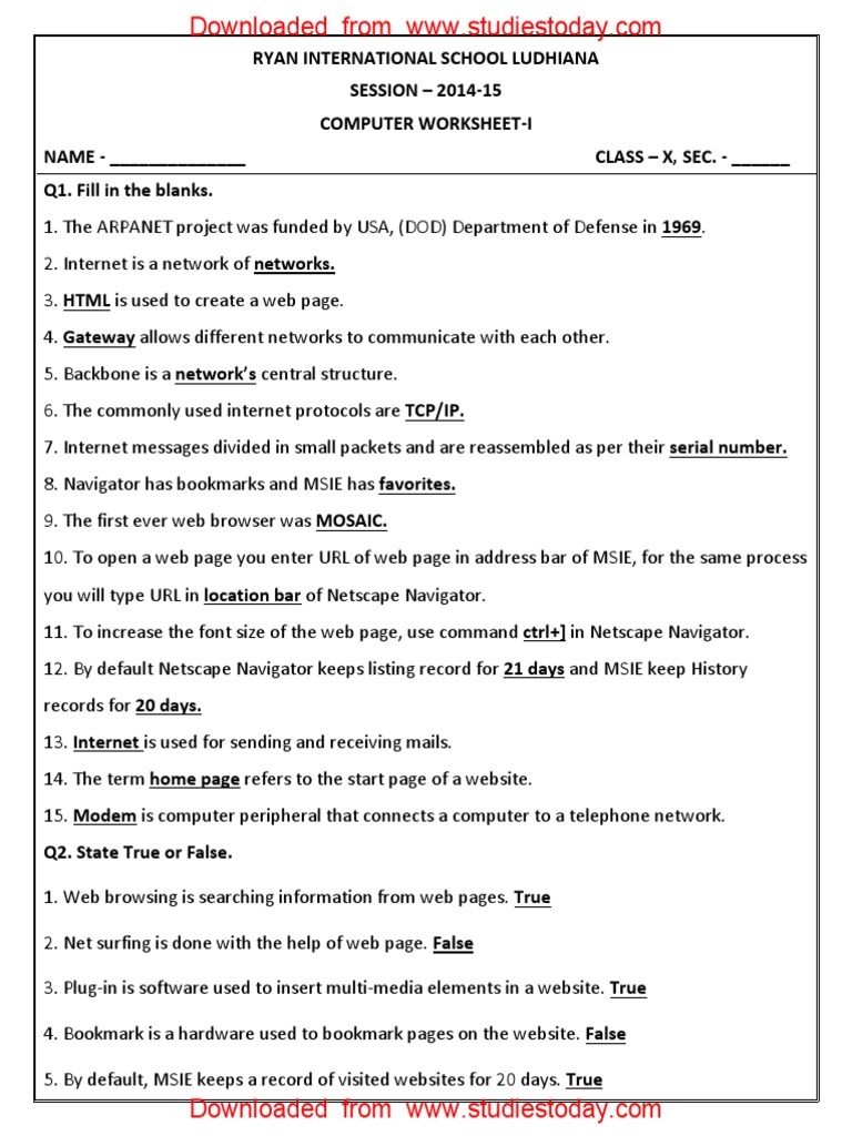 CBSE Class 10 Computer Science Worksheet | PDF | World Wide Web ...