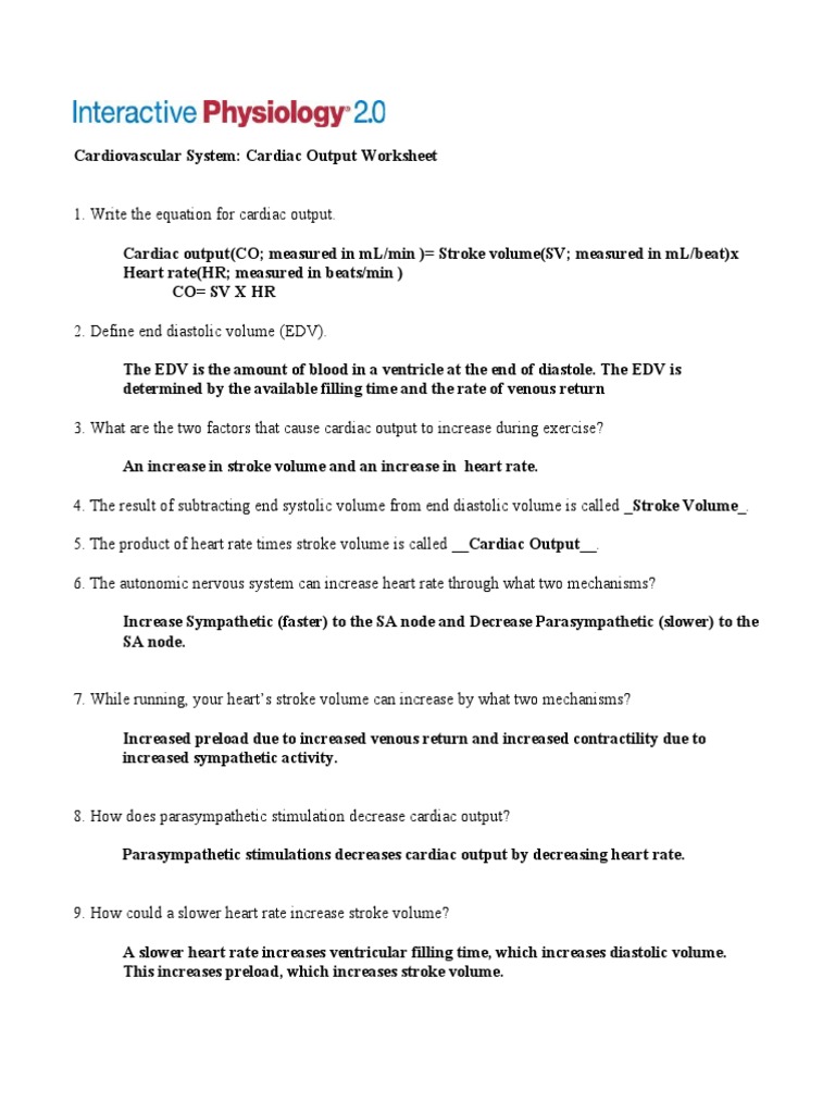 Cardiovascular - IP2 - Cardiac Output - Worksheet | PDF