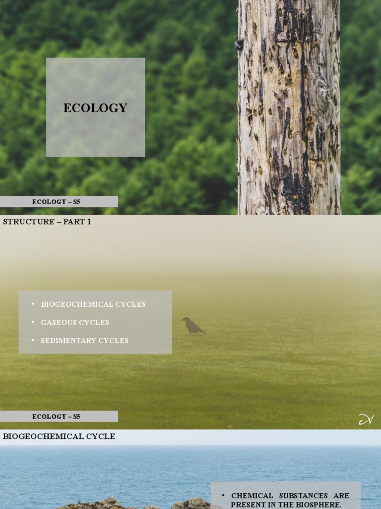 Module 04 - Biogeochemical Cycles | PDF | Environmental Science | Earth ...