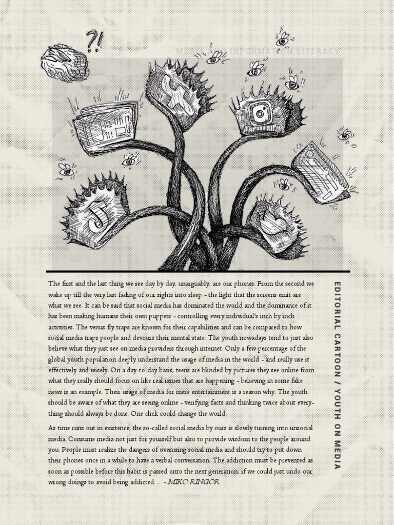 Media and Information Literacy Editorial Cartoon | PDF