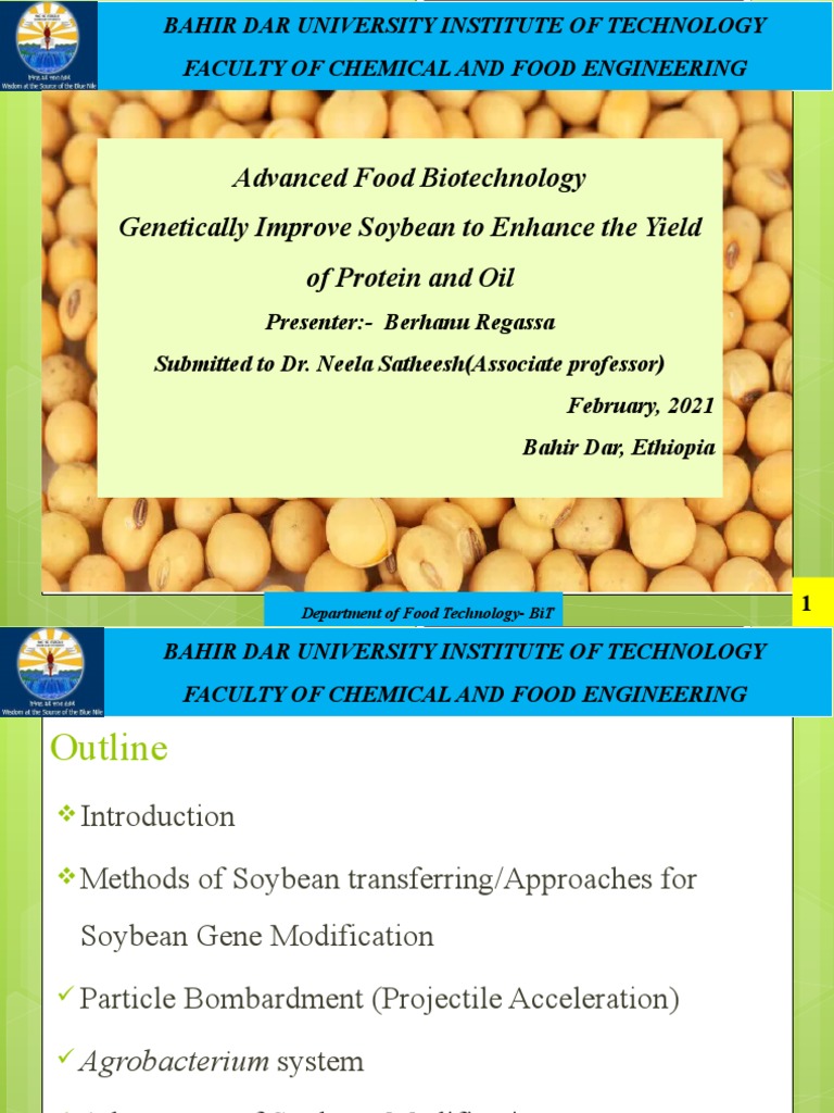 Advanced Food Biotechnology Genetically Improve Soybean To Enhance The ...