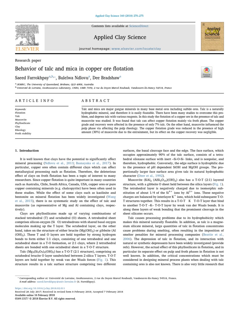 Behavior of Talc and Mica in Copper Ore Flotation | PDF | Applied And ...
