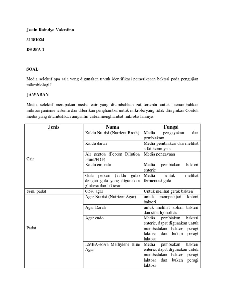 Jestin Raindya Valentino - TeoriTFSS - D3 3FA 1 | PDF