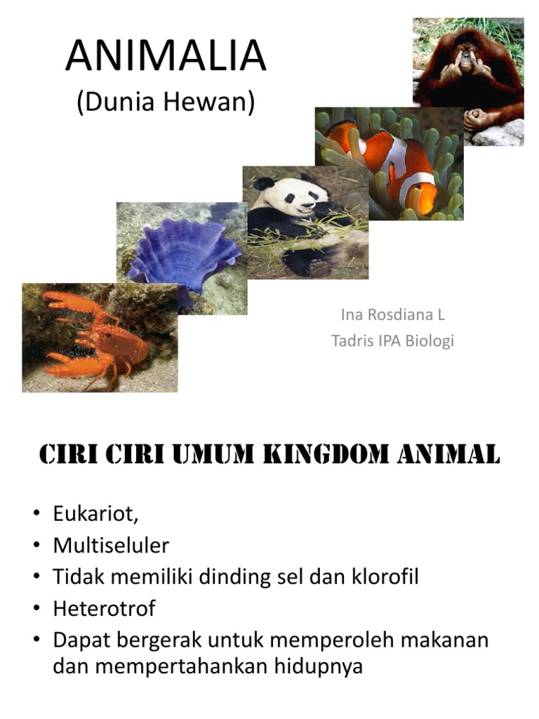 Materi Kingdom Animalia | PDF | Kesehatan Holistik