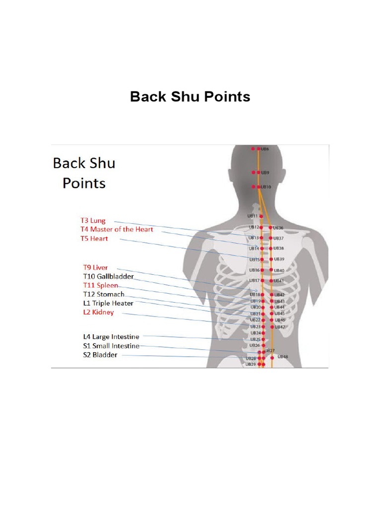 Back Shu Points in Acupuncture | PDF