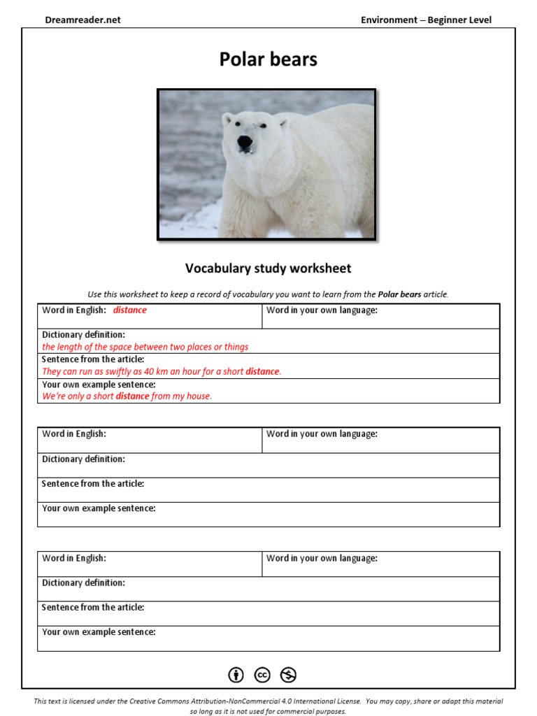 Polar Bears: Vocabulary Study Worksheet | PDF | Word | Definition