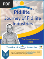 Pidilite Catalogue | PDF