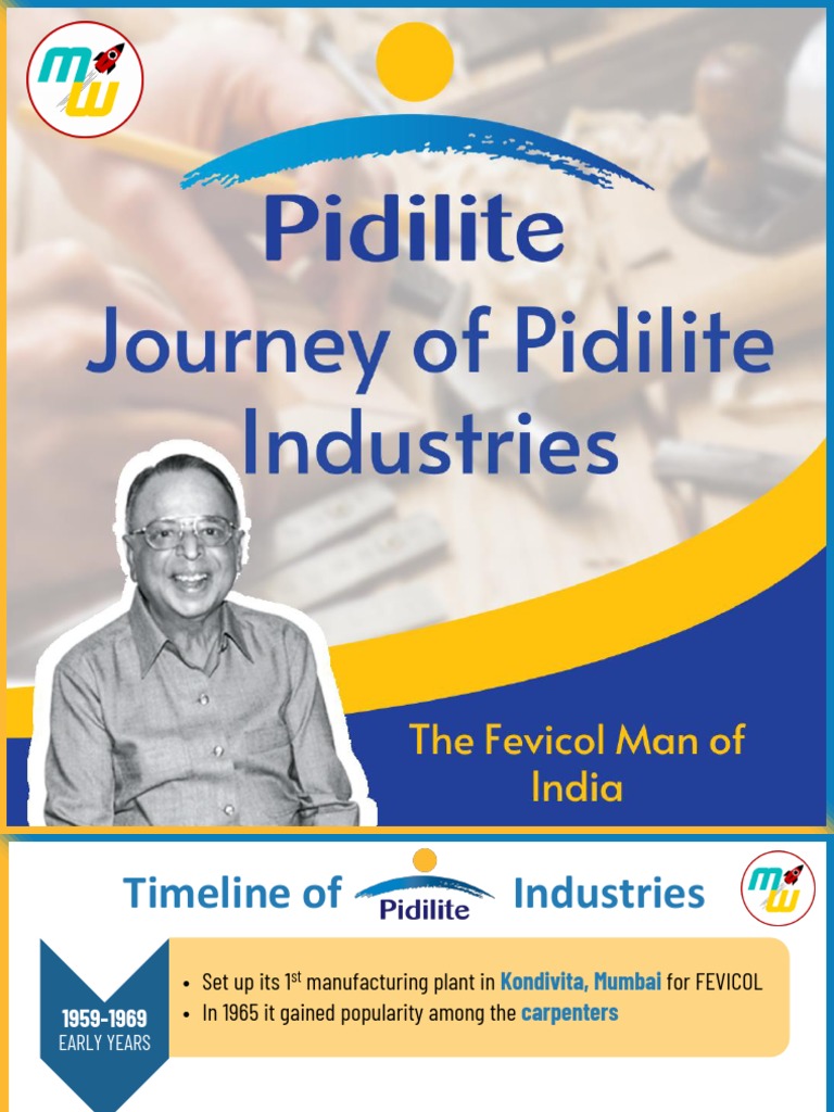 Pidilite Case Study | PDF | Adhesive | Brand