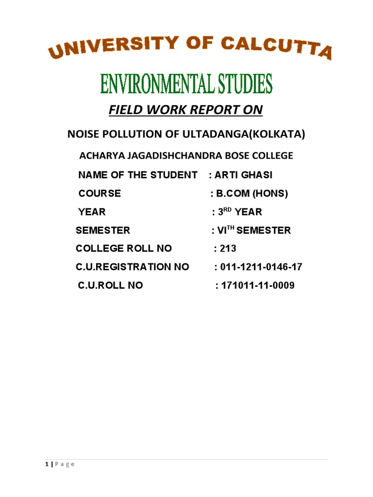 Field Work Report On: Noise Pollution of Ultadanga (Kolkata) | PDF ...