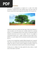 Narrative Report Tree Planting | PDF | Trees | Bonsai