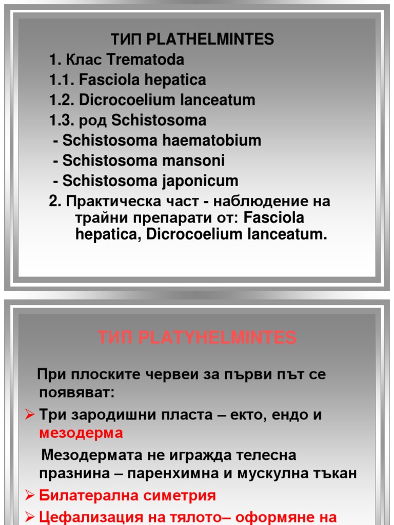 Trematoda | PDF