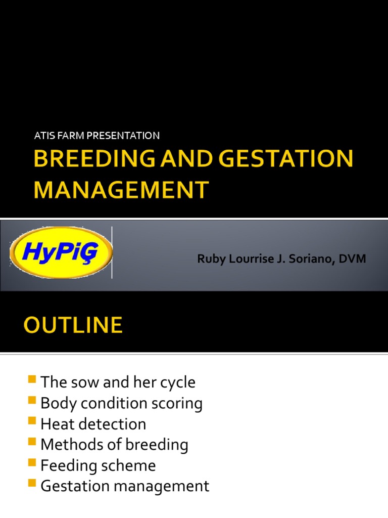 Breeding And Gestation Management Pdf Domestic Pig Pregnancy