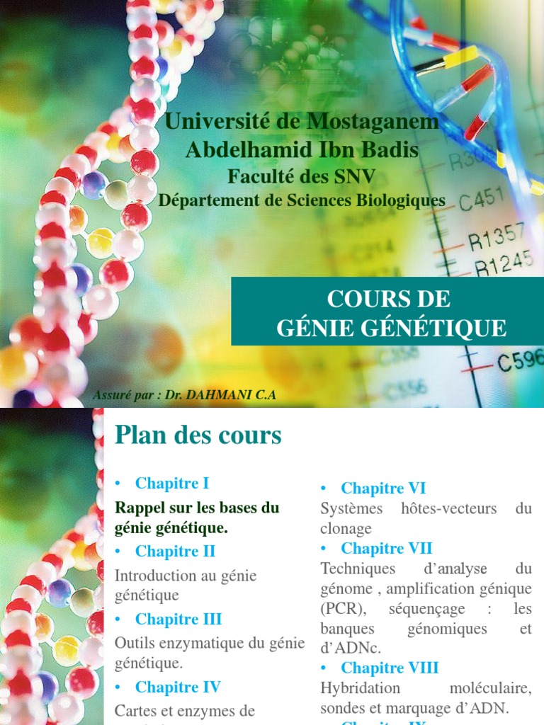 Cours 1 Génie Génétique | PDF | ADN | Chromatine