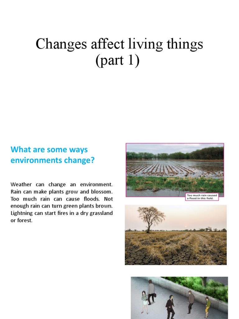 Changes Affect Living Things (Part 1) | PDF