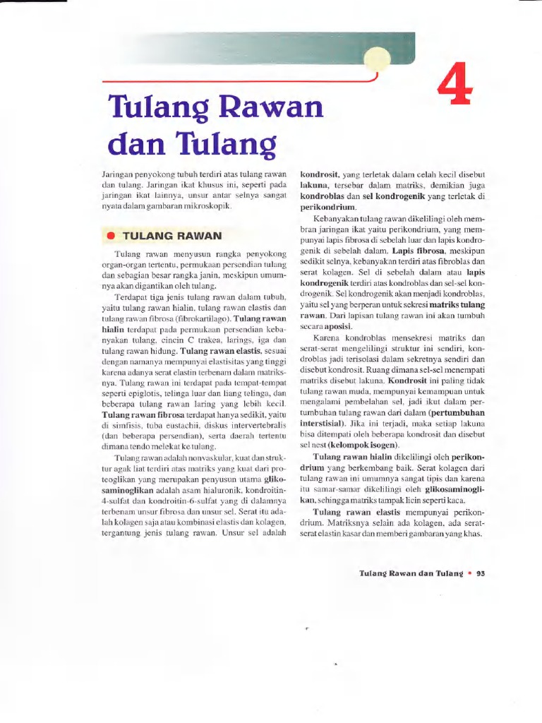 Bab 4 - Tulang Rawan Dan Tulang | PDF
