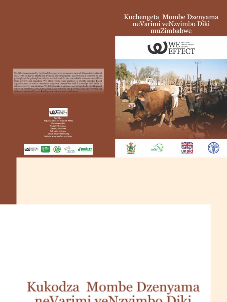Beef Production For Smallholder Farmers in Zimbabwe (Shona) | PDF ...