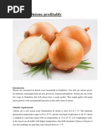 Onion Production Guide for Farmers | PDF | Onion | Fertilizer