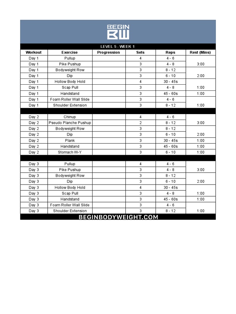 Workout Exercise Progression Sets Reps Rest (Mins) : Level 5 - Week 1 | PDF | Physical Fitness ...