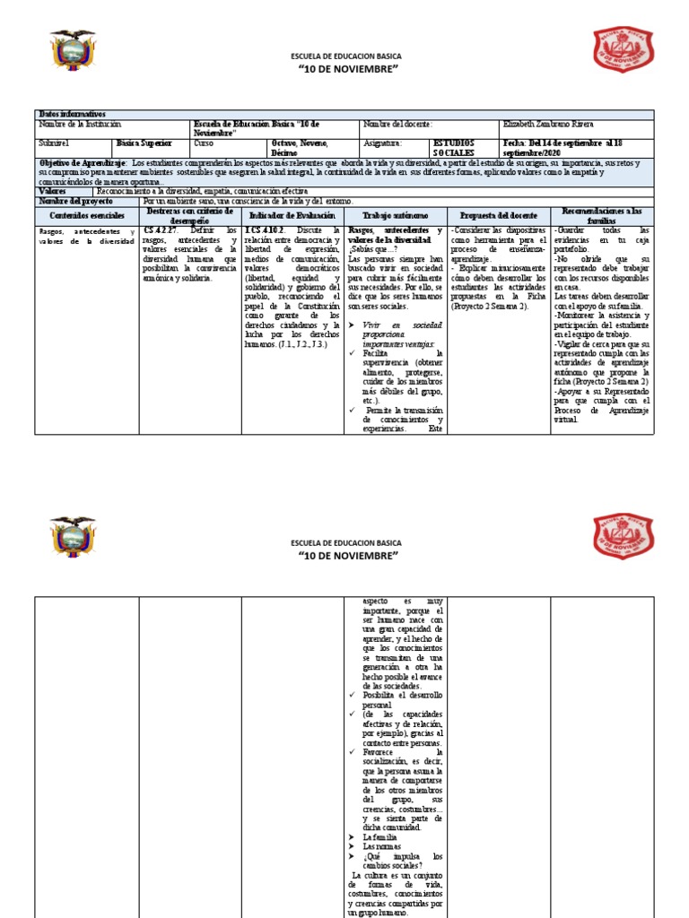 Proyecto 2 Semana 2 Eess | PDF | Educación primaria | Sociedad
