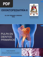 Recubrimiento Pulpar Directo e Indirecto | PDF | Calcio | Química