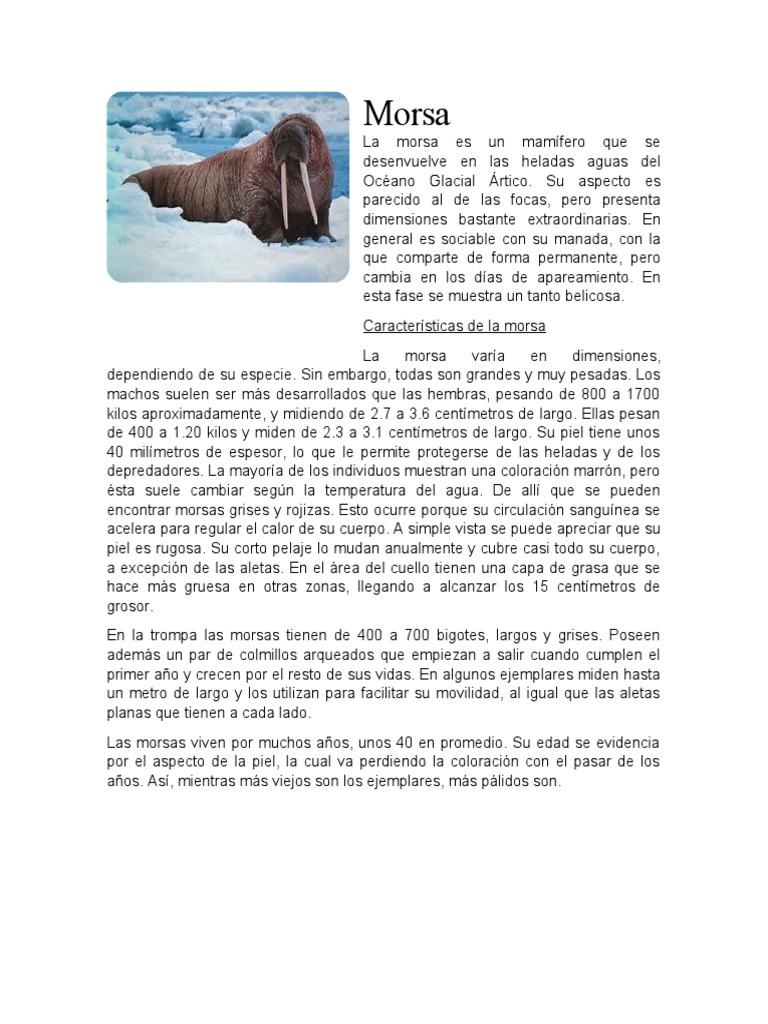 Morsa | PDF | Naturaleza