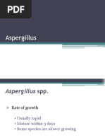 Avastin Emulsiflex C3 - Manual | PDF | Valve | Pump