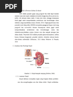 Struktur dan Fungsi Ginjal | PDF