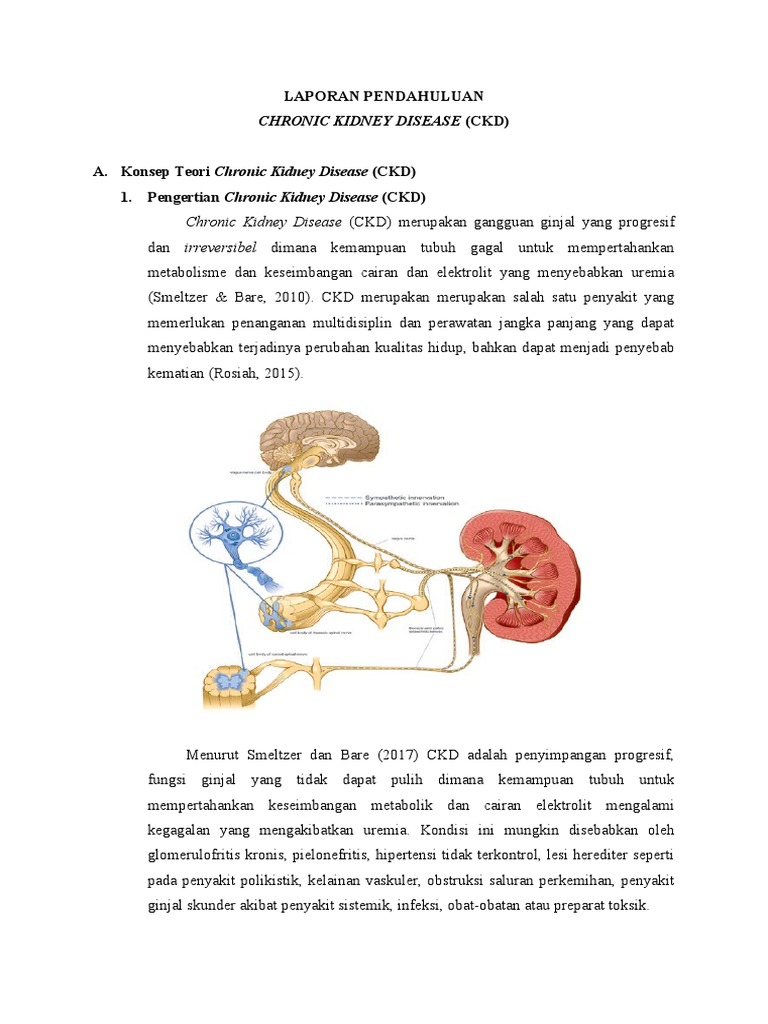 Laporan Pendahuluan Chronic Kidney Disease (CKD) | PDF
