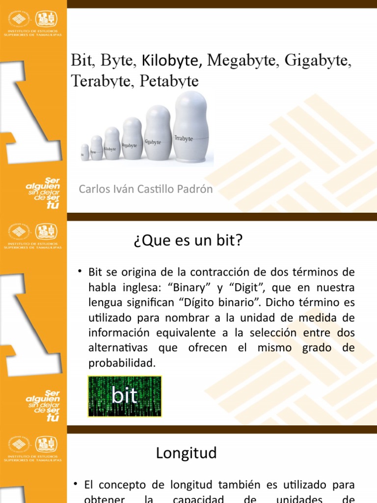 Bit, Byte, Kilobyte, Megabyte | PDF