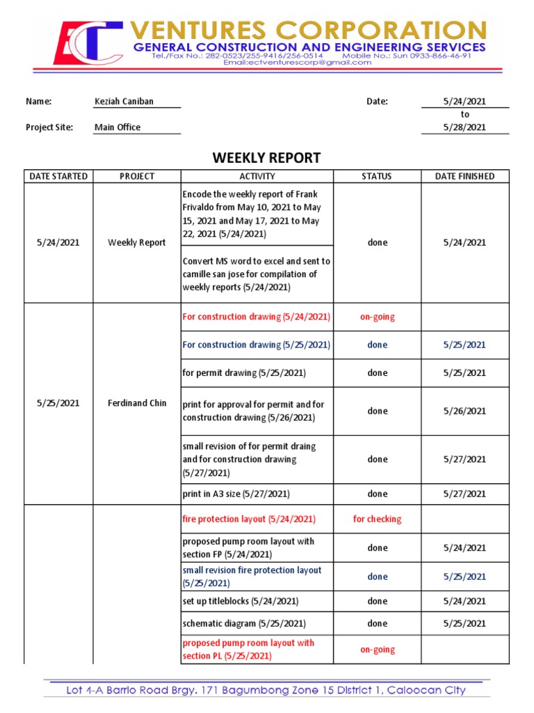 Weekly Project Activity Report | PDF
