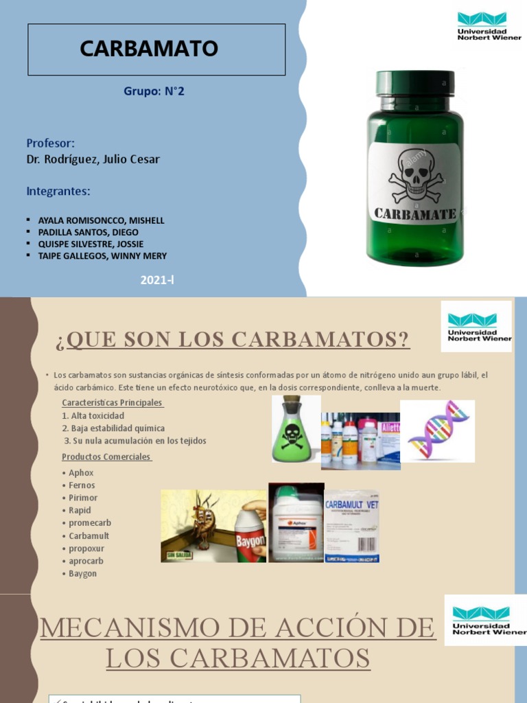 Intoxicación por Carbamatos: Síntomas y Tratamiento | PDF | Inhibidor ...