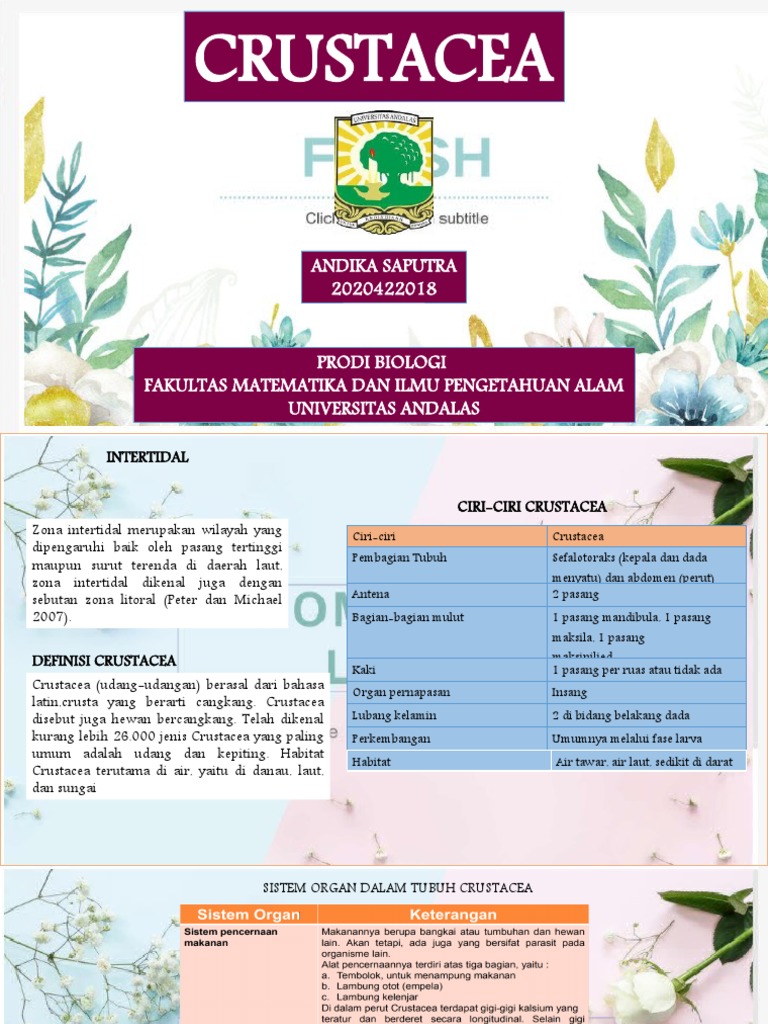 Crustacea Rabu 28 Okt | PDF | Ilmu Sosial | Sains & Matematika