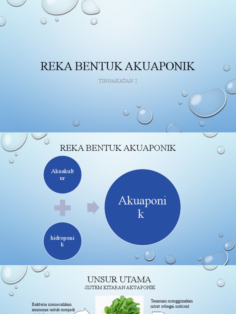 2.6 Reka Bentuk Akuaponik | PDF