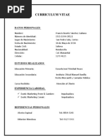 CURRICULUM VITAE BASICO Paola | PDF