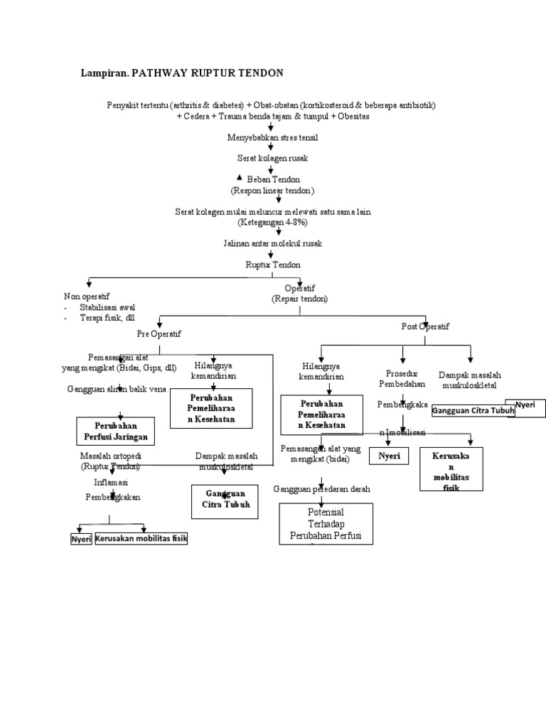 Pathway Ruptur Tendon Okedoc | PDF