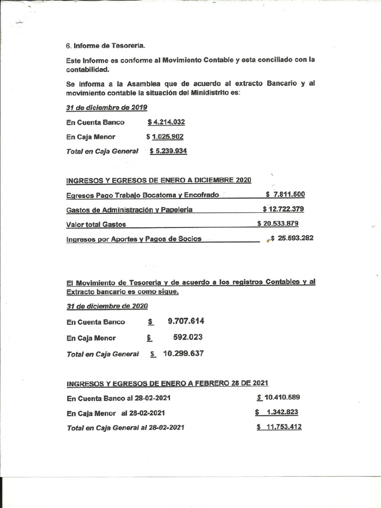 Informe de Tesoreria e Informe de Fiscal 2020 | PDF