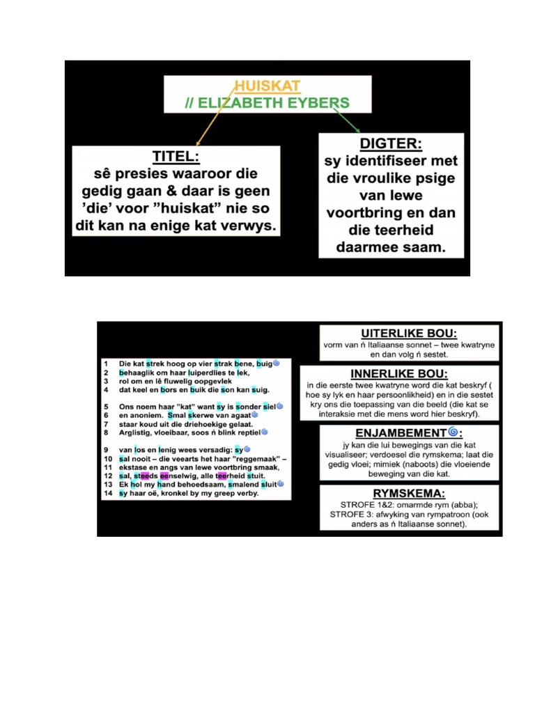 Huiskat Afrikaanse Gedig | PDF