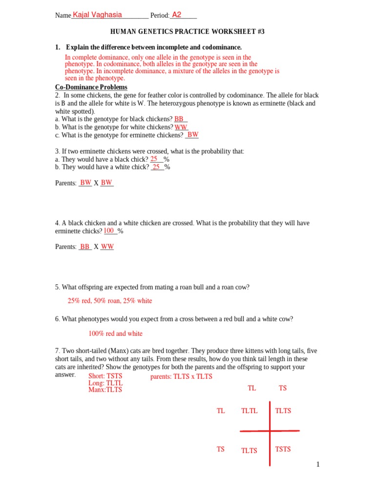 Kajal Vaghasia - Codominance and Incomplete Dominance Worksheet | PDF ...
