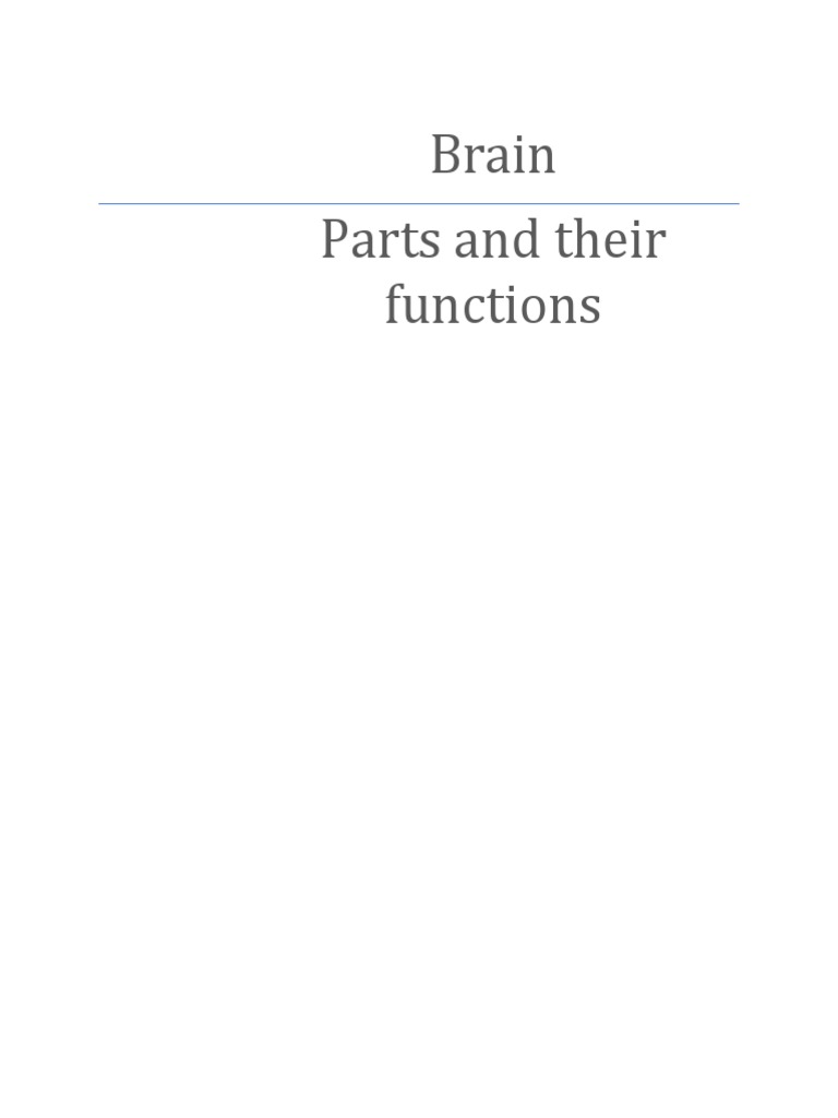Brain Parts and Their Functions | PDF | Brainstem | Brain