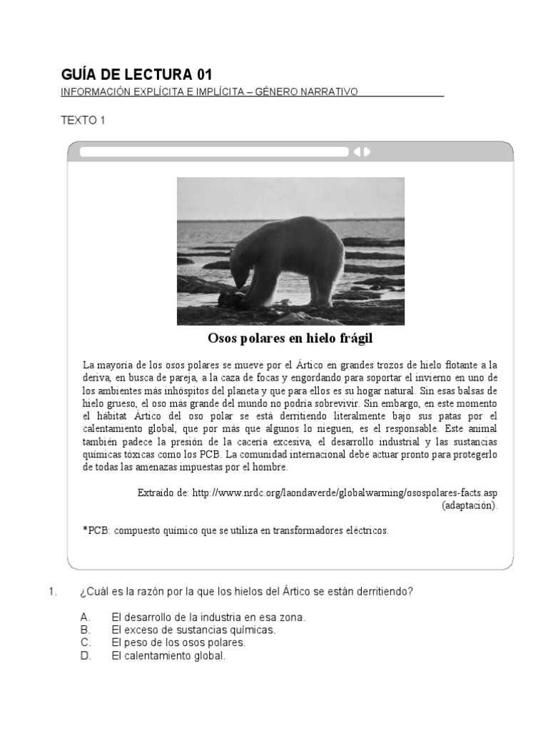 Guía de Lectura 01 | PDF | Oso polar | Osos