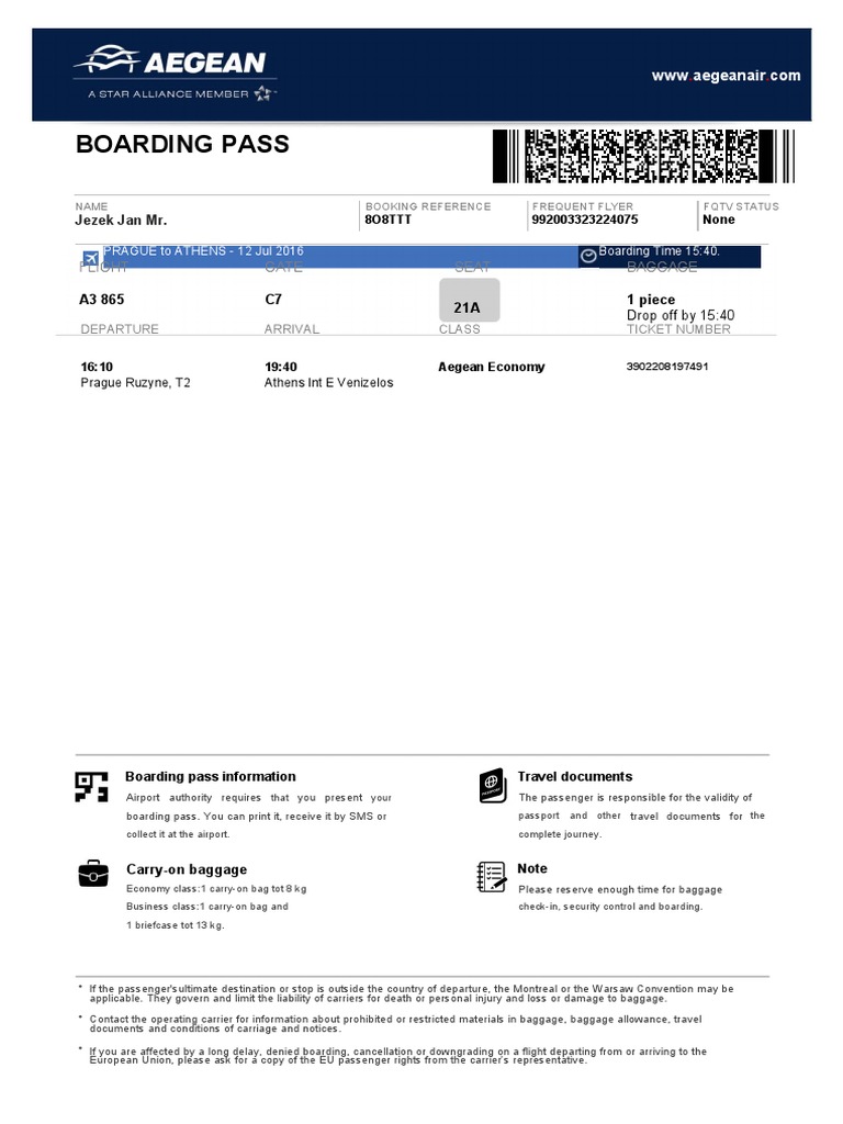 Plane Ticket Template 13 | PDF | Baggage | Aviation