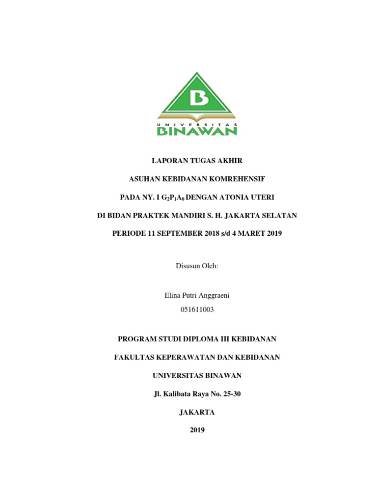 KEBIDANAN - 2019 - Elina Putri Anggraeni Repo | PDF | Karier ...