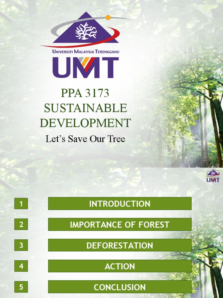 Importance of Forest Conservation | PDF | Deforestation | Forestry