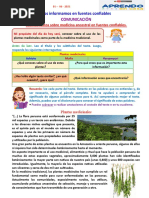 Informe 100 Plantas Medicinales Selva Peruana | PDF