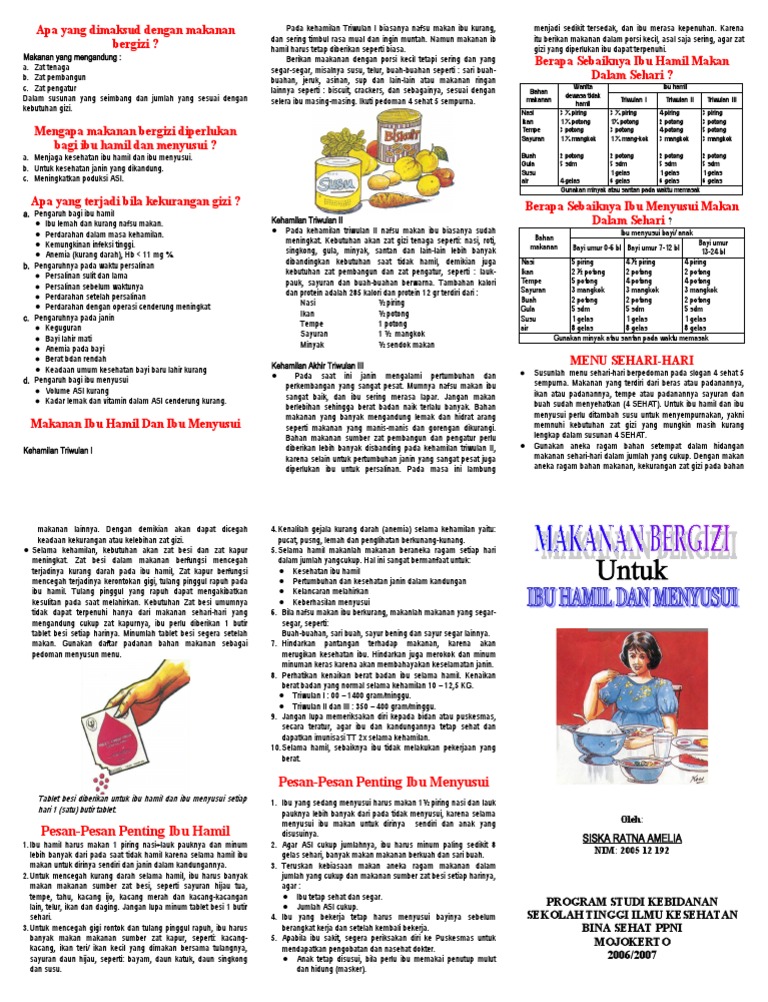 Leaflet MAkanan Bergizi Untuk Ibu Hamil Dan Menyusui | PDF