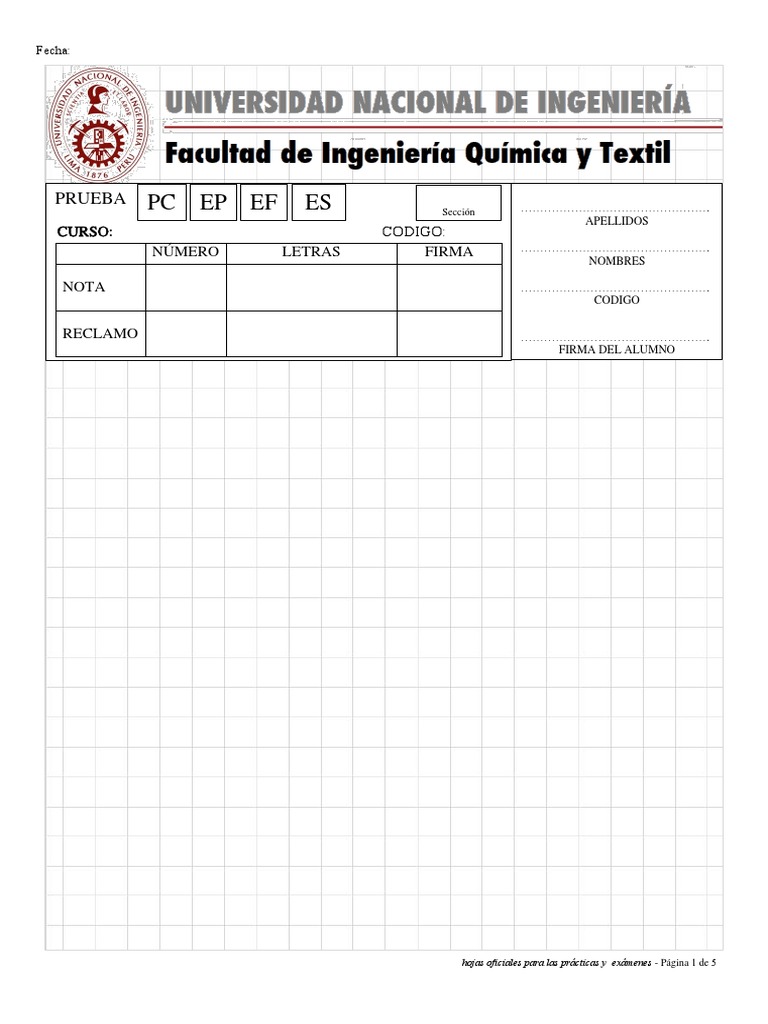 Formato de Examen | PDF