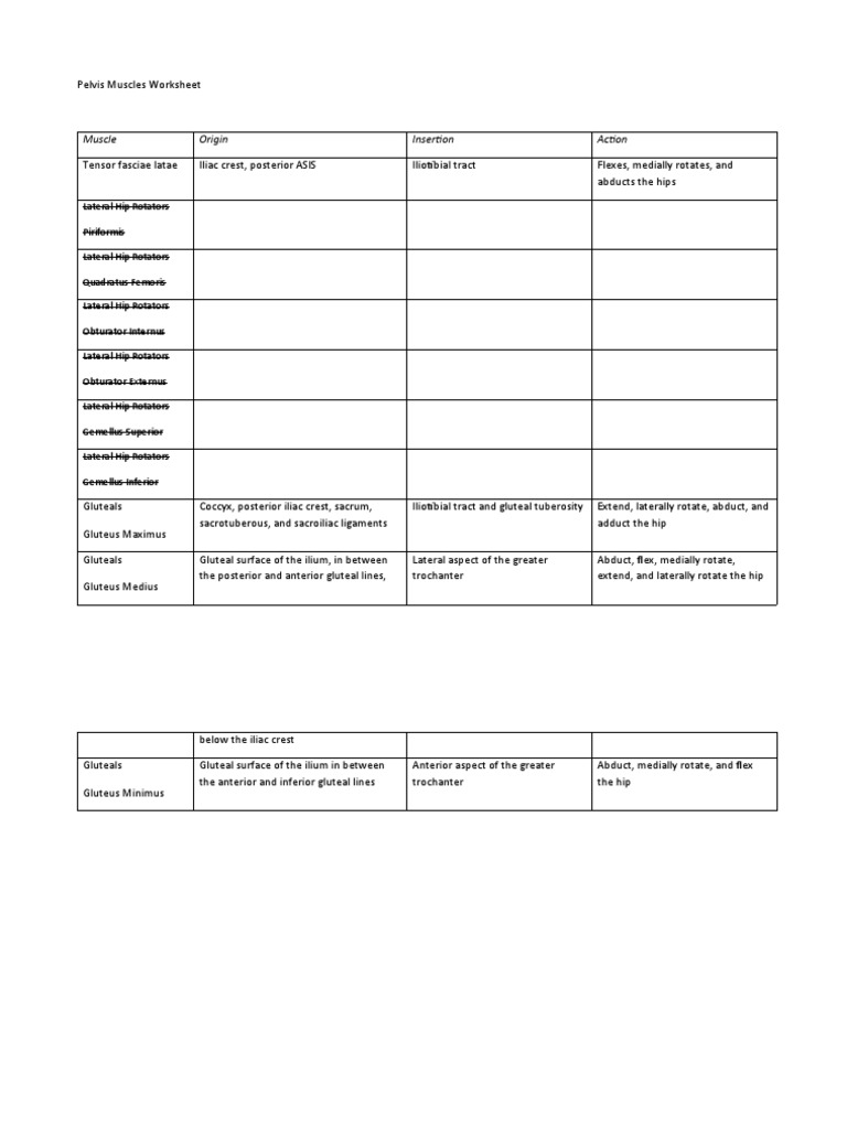 SMB Pelvis Muscles Worksheet | PDF | Wellness